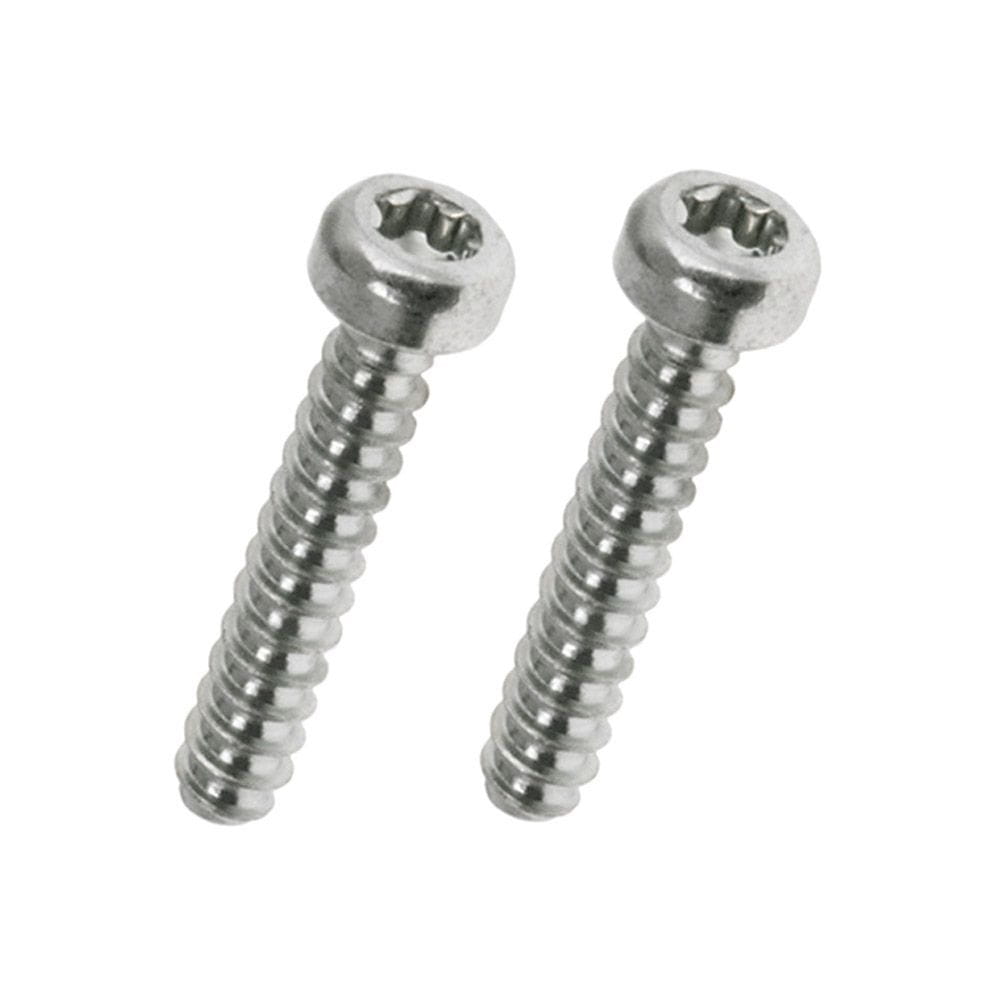 Schrauben für Kunststoffe 3x16 mm - T10 (2 Stück) online kaufen
