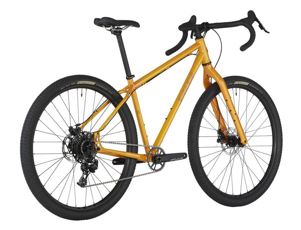 Salsa Fargo Apex 1 MTB Komplettrad 29" buy online