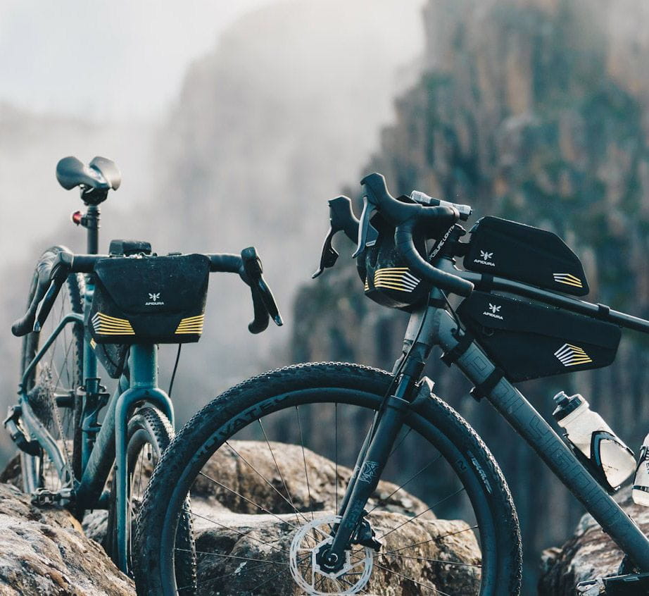 Apidura Racing Handlebar Pack 2L Lenkertasche online kaufen